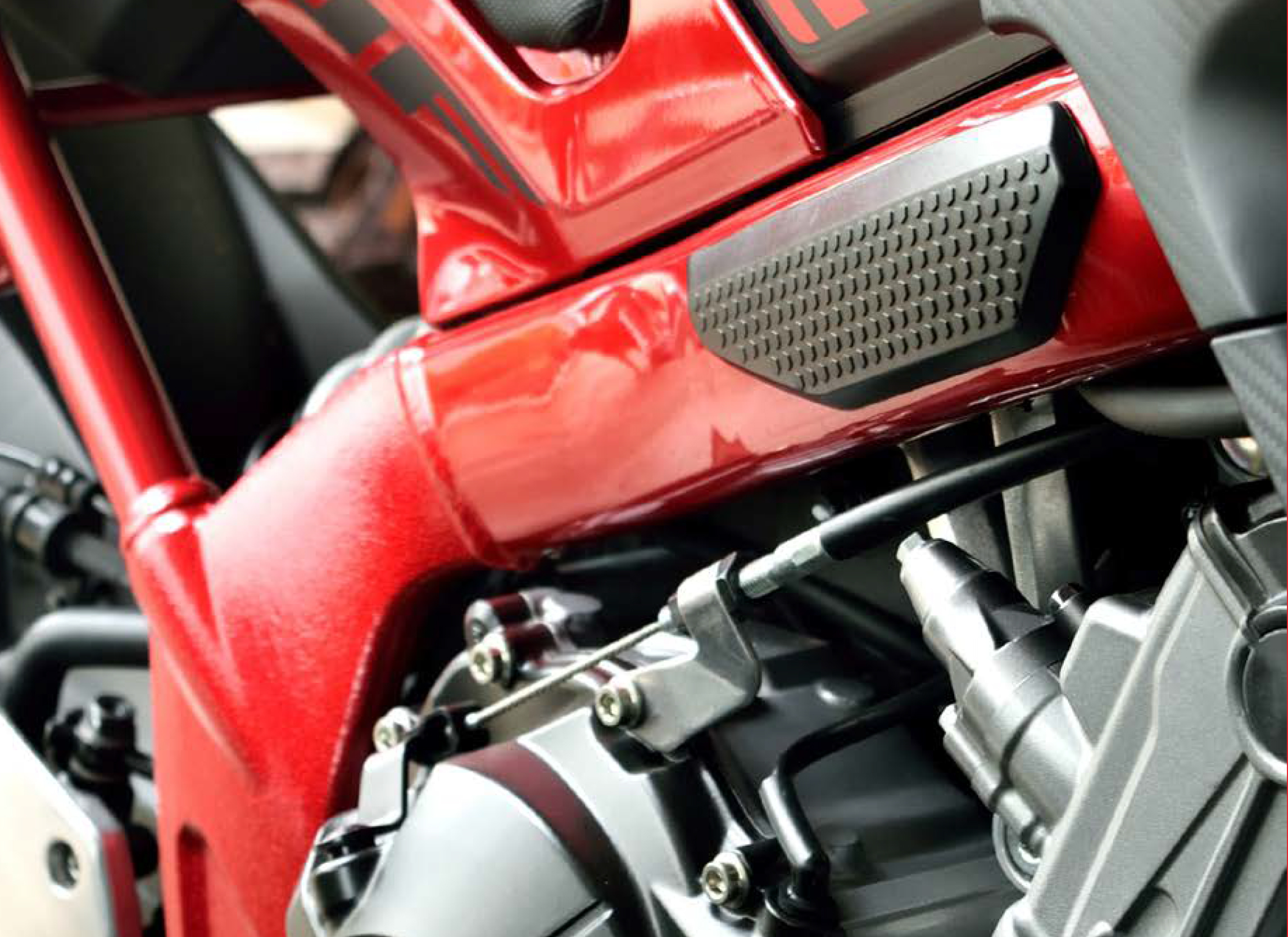 KZN Oils | People, Product, Progress